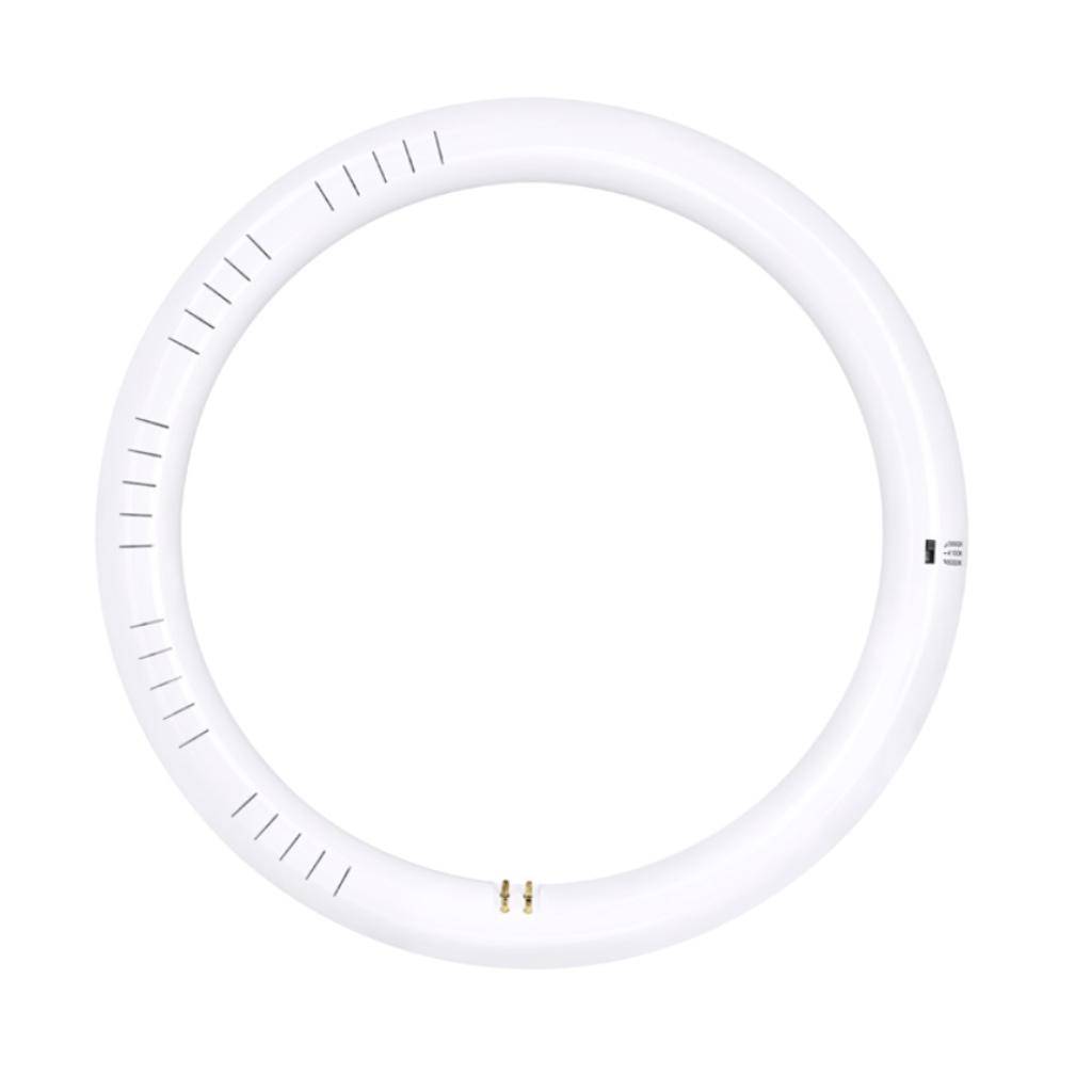 Sylvania 41207 - LED Circline Tube | LightBulbs.com