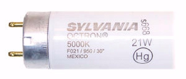 Sylvania 21869 | LightBulbs.com