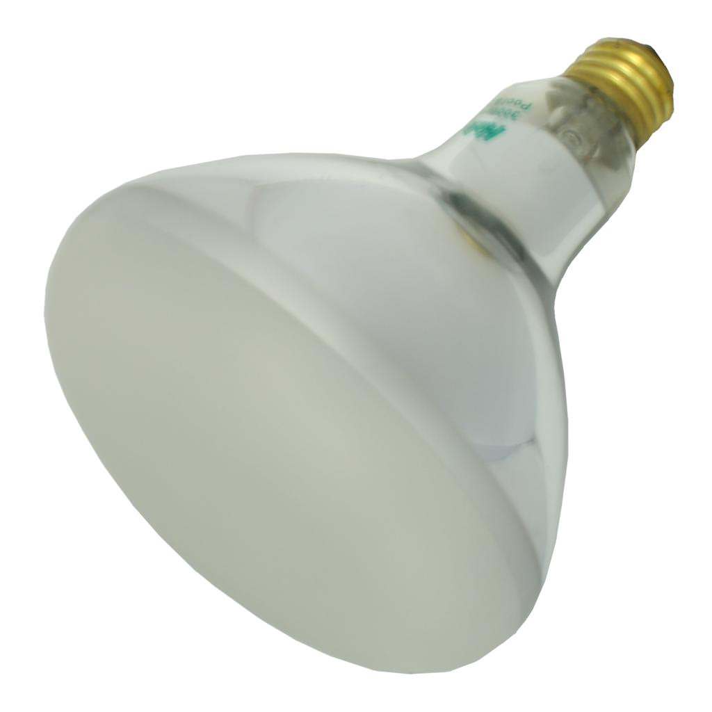 Halco 104040 | LightBulbs.com