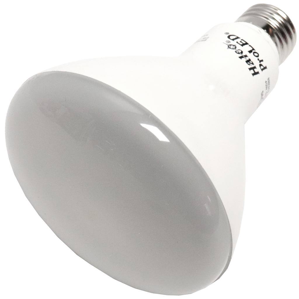 Halco 80990 | LightBulbs.com