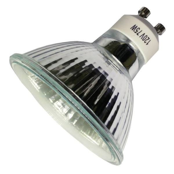 Hikari 03831 | LightBulbs.com