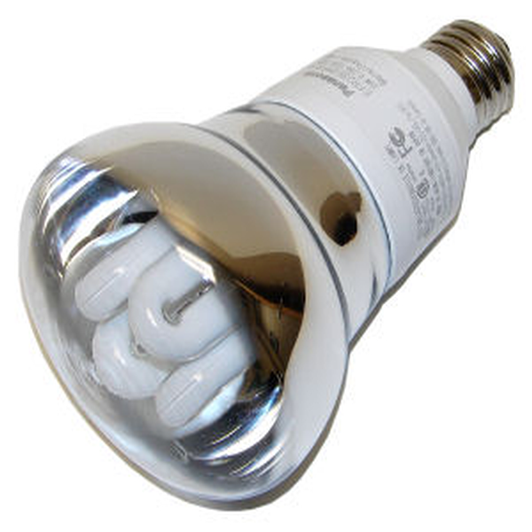 Panasonic 67019 | LightBulbs.com