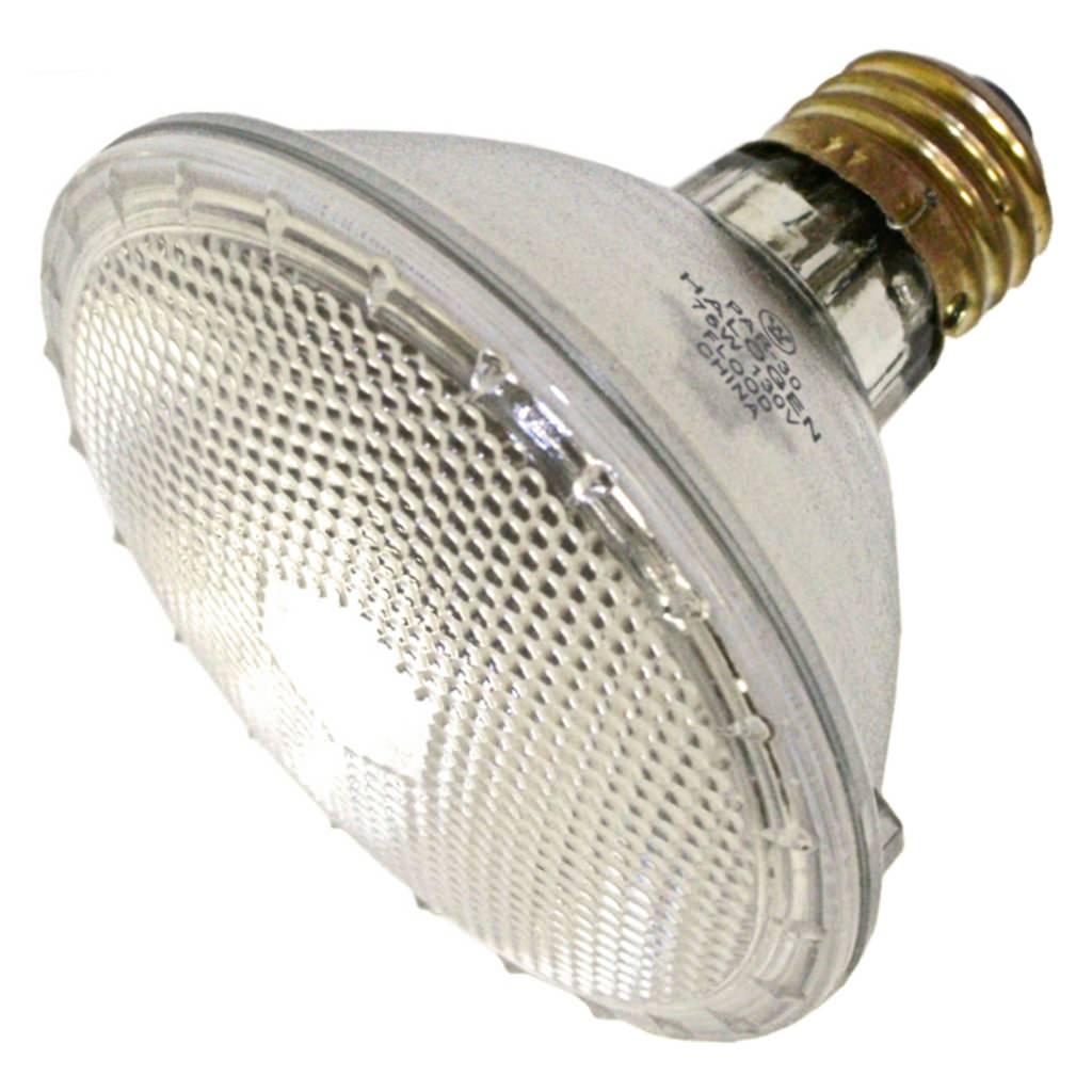 Westinghouse 36913 | LightBulbs.com
